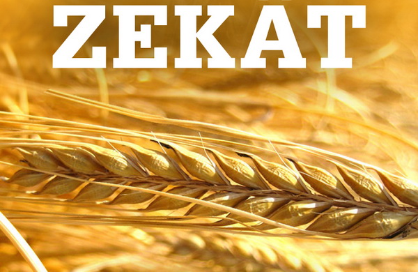 Zekatın Hikmetleri -II- – Namaz NİYAZ